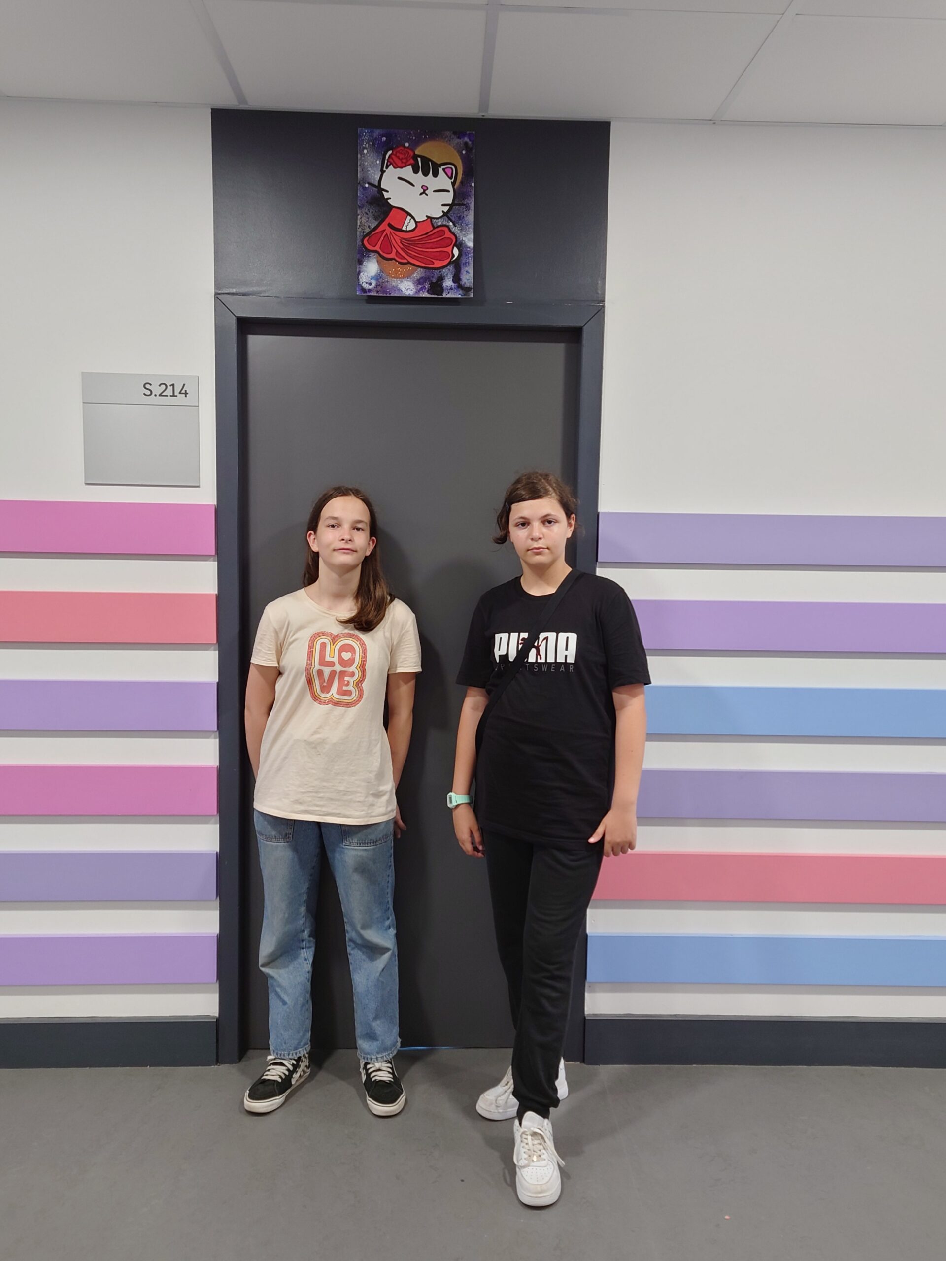 Le gang des Wall Invaders a frappé ! – Site du Collège Gisèle Halimi